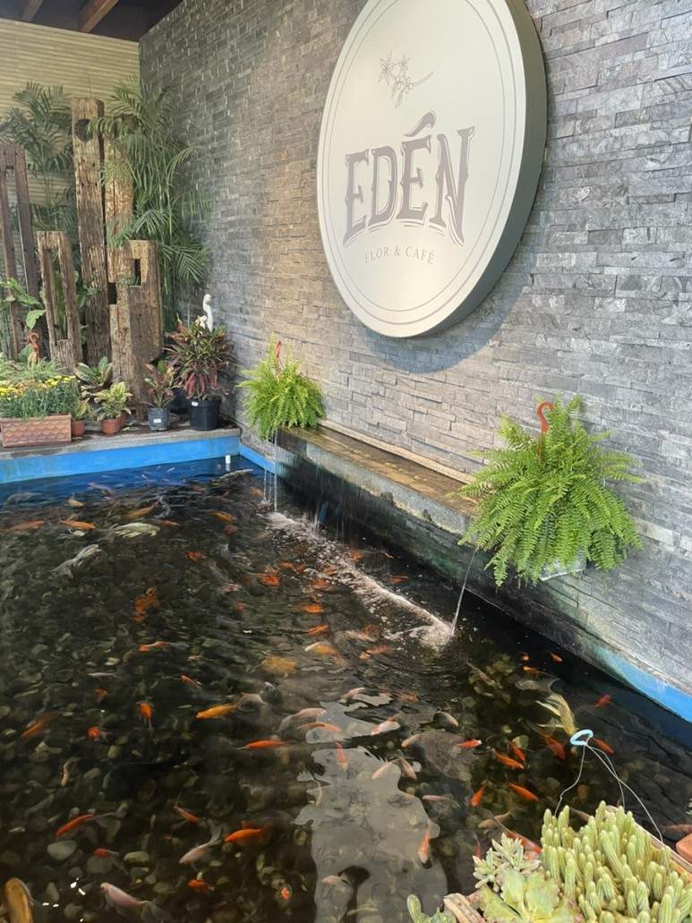 Monterrey enchilada restaurant El Eden flor y cafe (Location,Price, etc ...